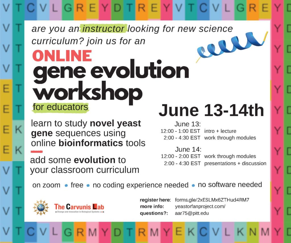 Yeast “adopt a proto-gene” project – RCN-UBE: Yeast ORFan Gene Project